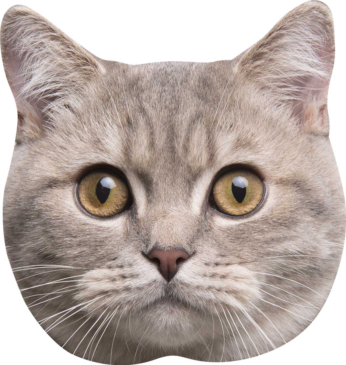 Custom Big Head Cutouts - Shop Custom Cardboard Head Cutouts ...