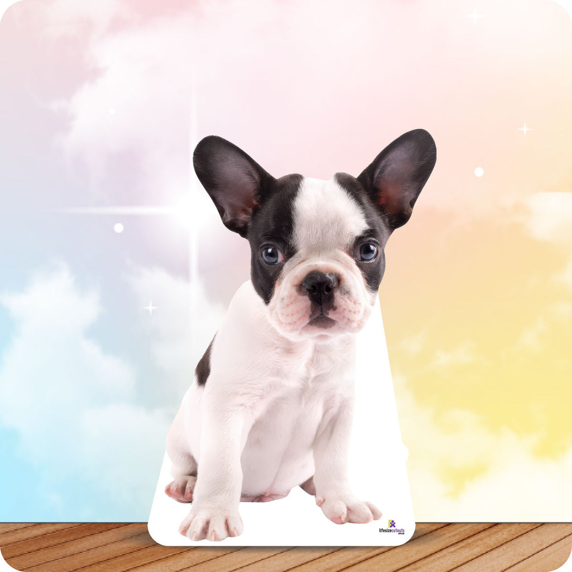 Custom Pet Cutouts – LifesizeCutouts