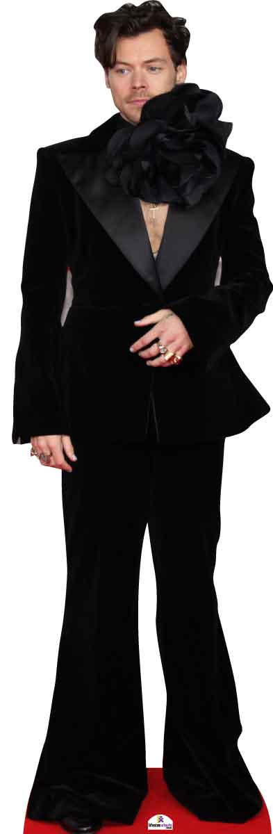 Harry Styles 169 Black Flower Celebrity Cutout | LifesizeCutouts