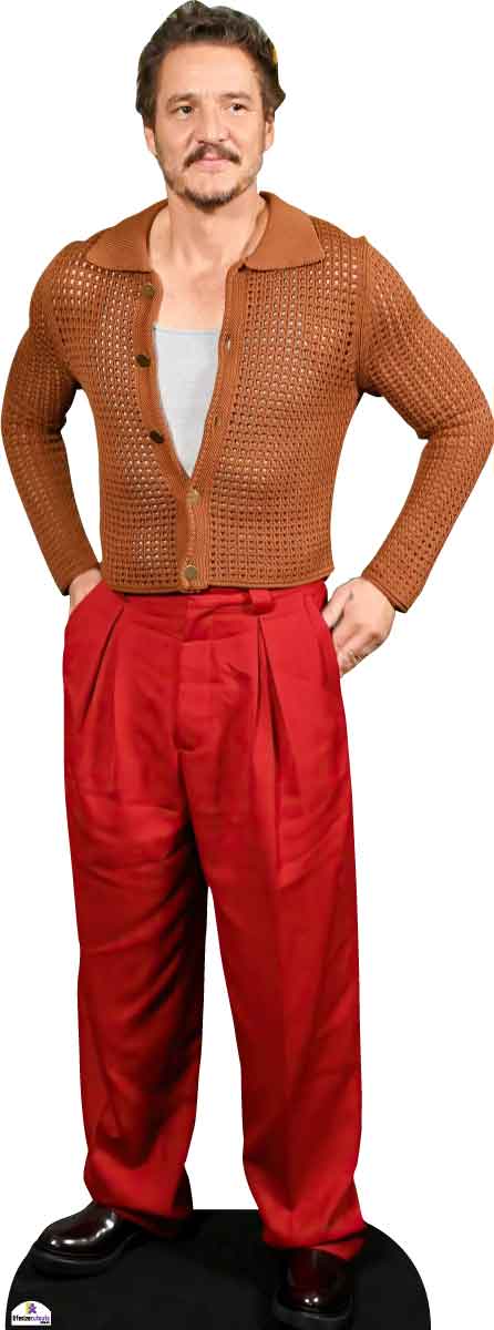 Pedro Pascal 515 Celebrity Cutout | LifesizeCutouts