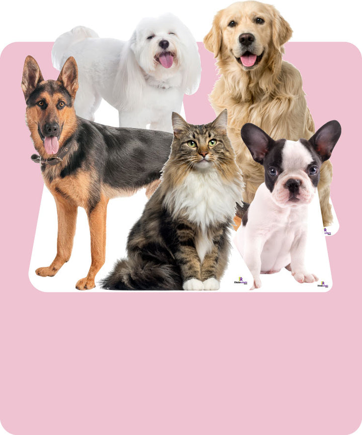 Lifesize Cutouts - Australia's Largest Range of Cardboard Cutouts ...