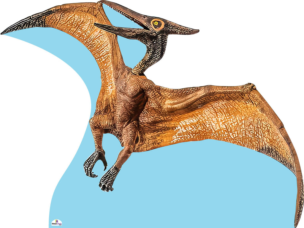 Pterodactyl Size Comparison Retro Vs Modern #18: Pterodactylus