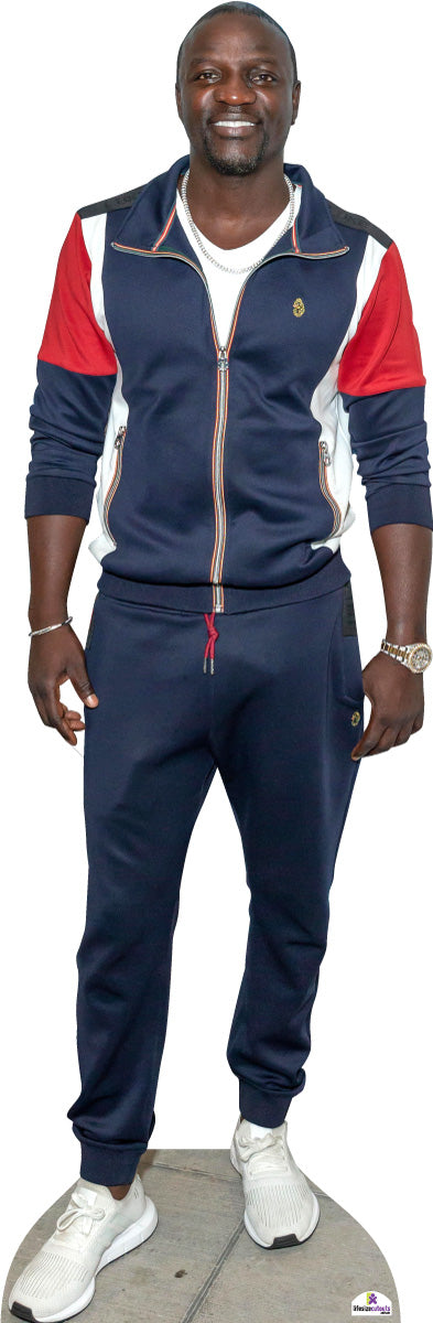 Akon 430 Celebrity Celebrity Cutout | LifesizeCutouts