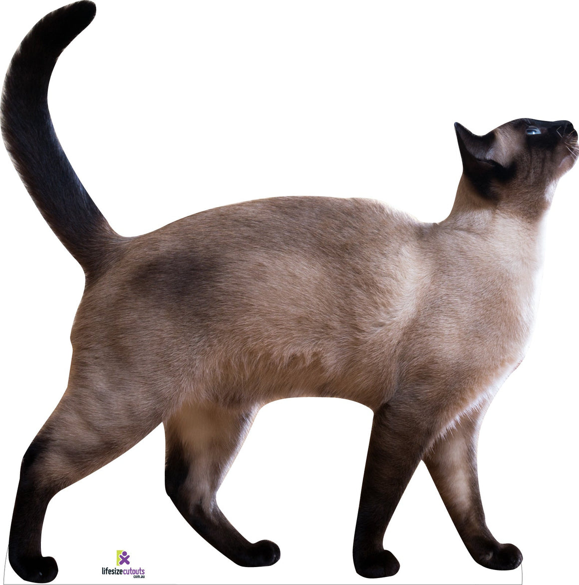 Custom Lifesize Cat Cutout - FREE Delivery* | LifesizeCutouts