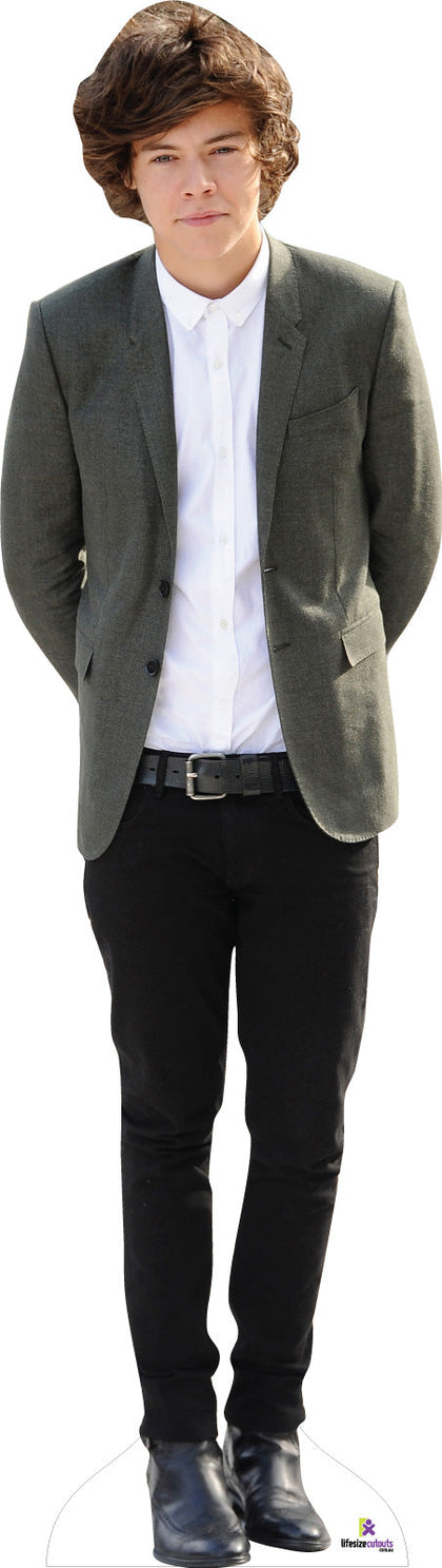Harry Styles Cardboard Cutouts - Actual-Sized Harry Styles Cutouts ...