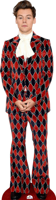 Harry Styles Cardboard Cutouts - Actual-Sized Harry Styles Cutouts ...