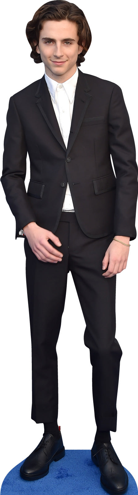 Timothee Chalament 022 Cardboard Cutout | LifesizeCutouts